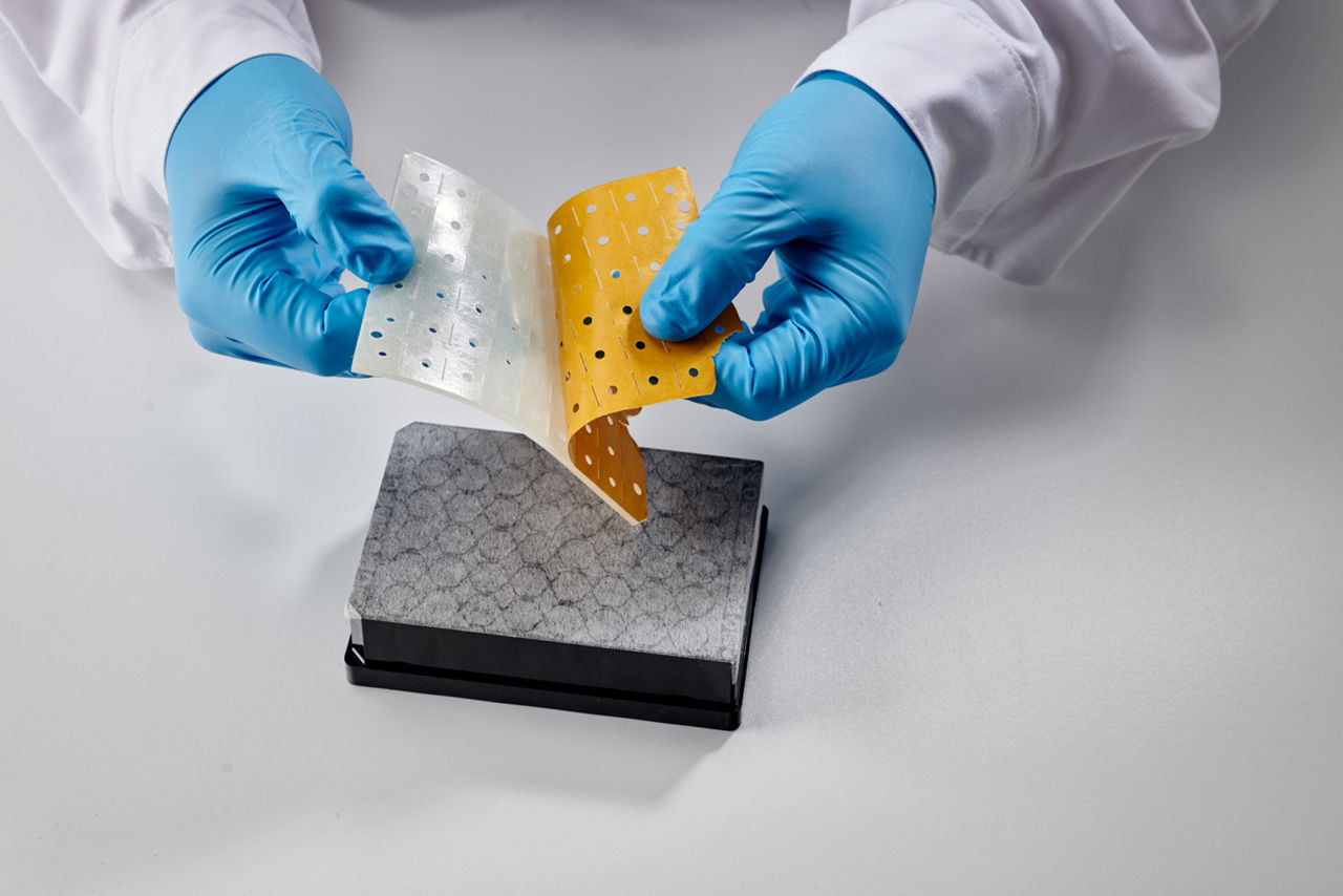 Biolector XT Microbioreactor Systems for Advanced Cultivation | Danaher ...