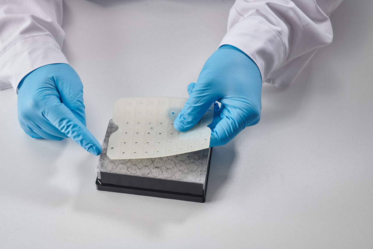 Biolector XT Microbioreactor Systems for Advanced Cultivation | Danaher ...