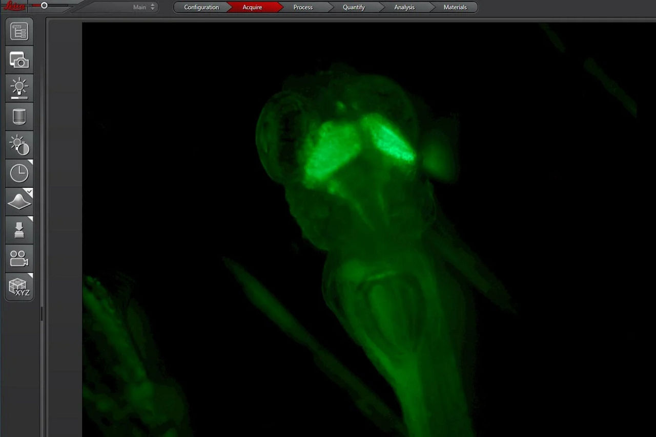 LAS X Microscope Software | Danaher Life Sciences