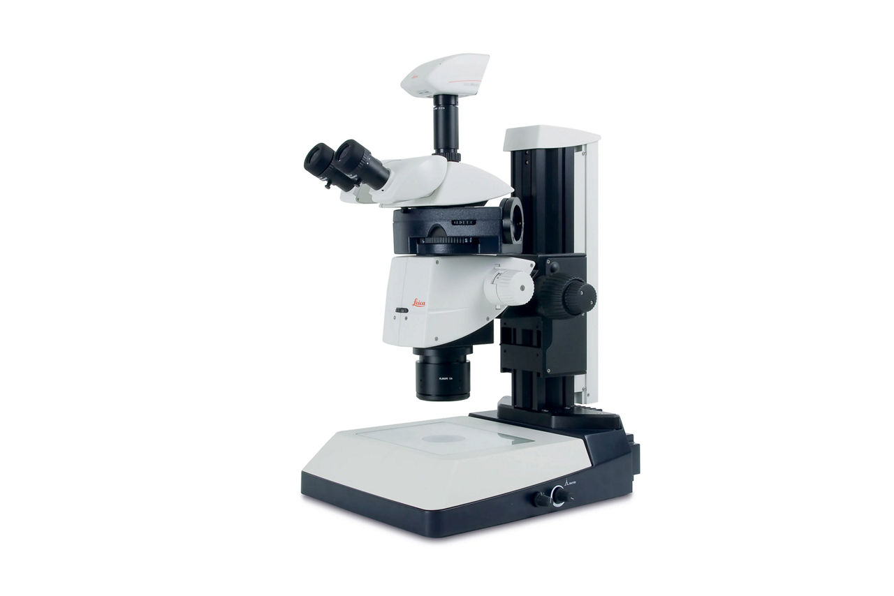 Leica M165 FC - Fluorescent Stereo Microscope | Danaher Life Sciences