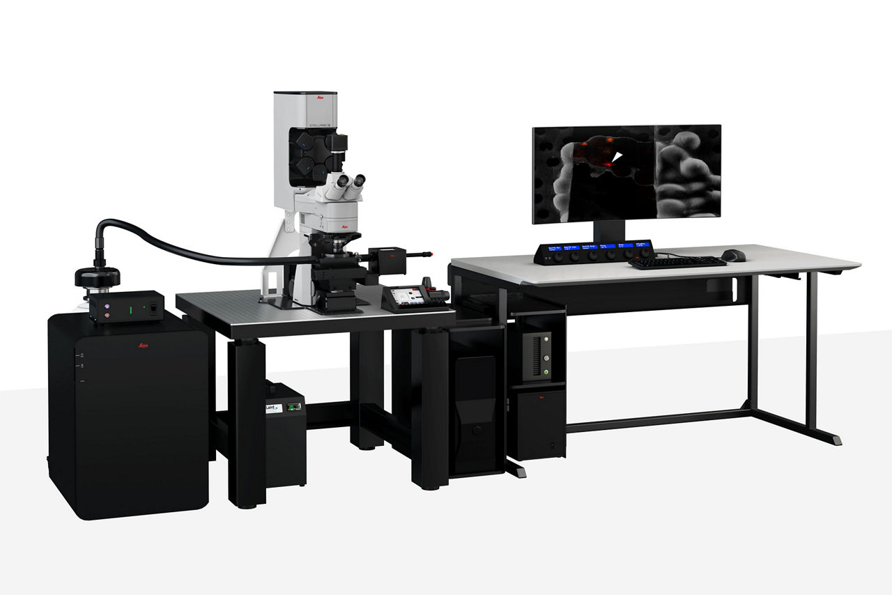 STELLARIS 5 - Cryogenic Confocal Microscope | Danaher Life Sciences