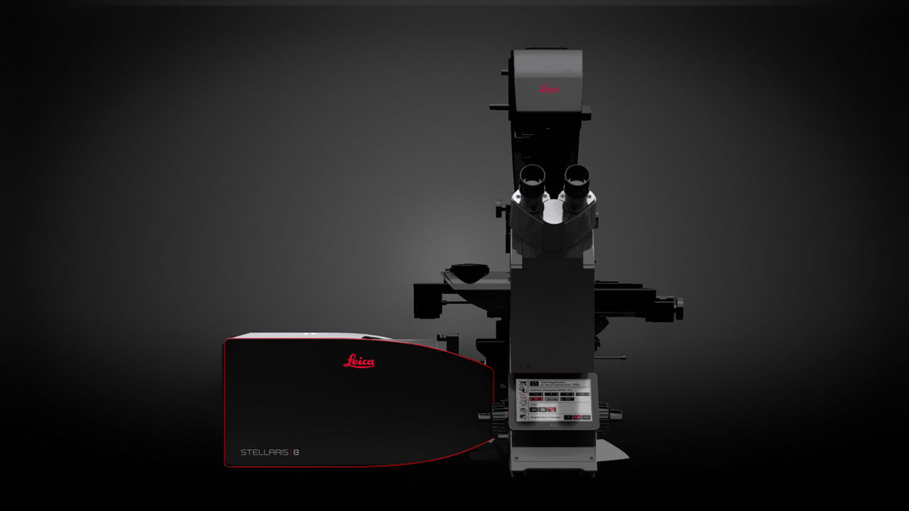 STELLARIS 8 Confocal Microscope | Danaher Life Sciences