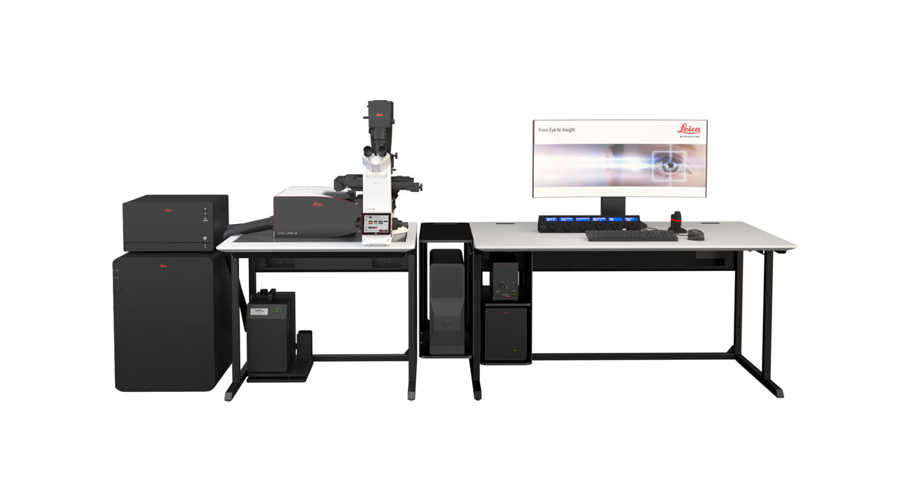 STELLARIS 8 Confocal Microscope | Danaher Life Sciences