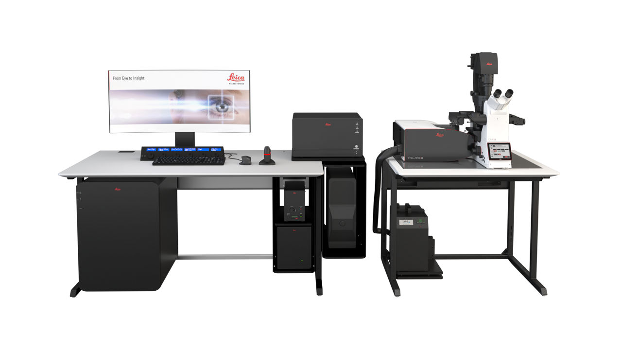 STELLARIS 8 Confocal Microscope | Danaher Life Sciences
