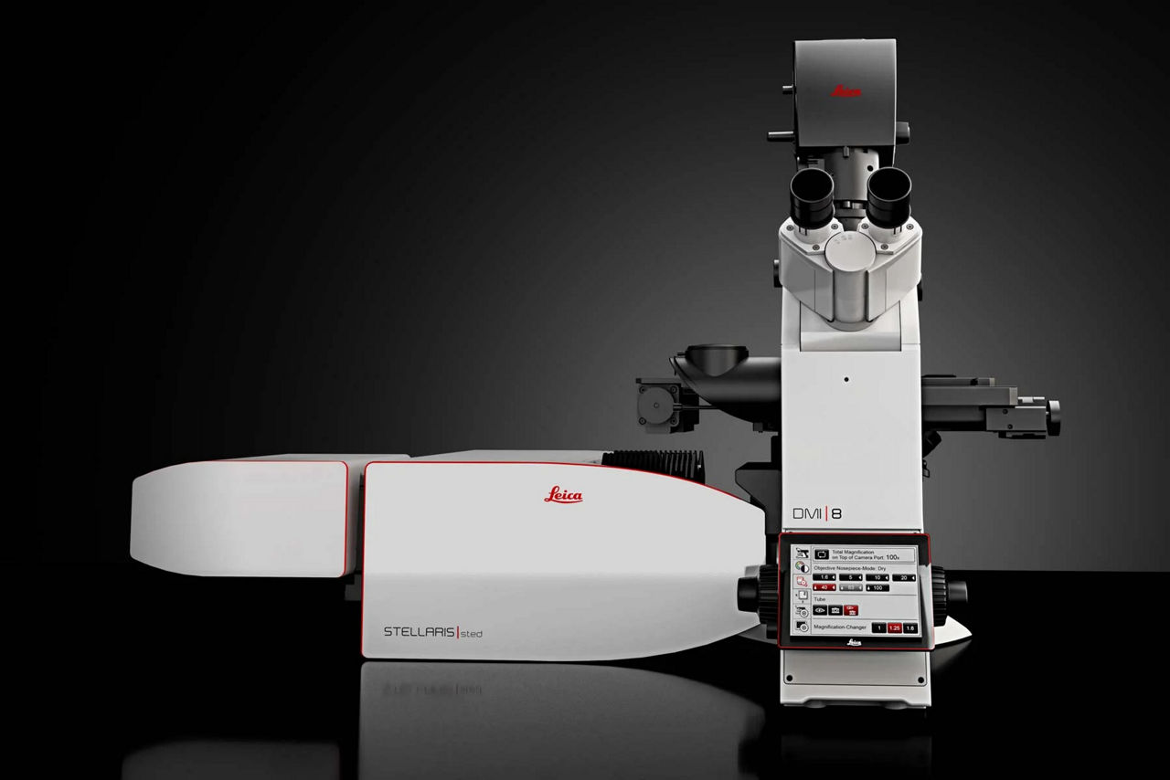 STELLARIS STED Microscopes: Multicolor 2D & 3D Imaging | Danaher Life ...