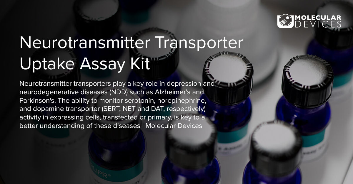 Neurotransmitter Transporter Uptake Assay Kit for Precise Analysis ...
