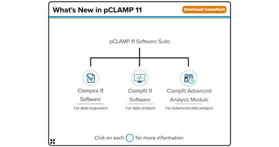 pCLAMP 11 - Clampfit Data Acquisition and Analysis Software | Danaher Life Sciences